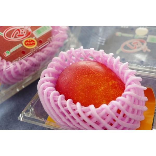 父の日マンゴーギフト通販 宮崎の完熟マンゴーをお父さんにプレゼント。1玉入約400ｇ