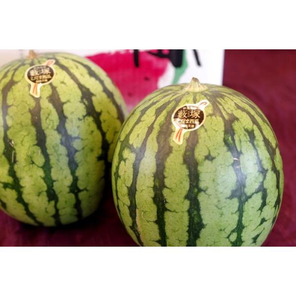 藪塚西瓜通販 群馬産。シャリ感が違う小玉スイカを販売。果物ギフト 2玉