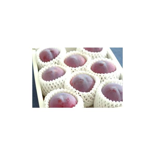 貴陽（きよう）プラム通販 きようすもも李を御中元に販売取寄。約7玉〜約10玉 山梨・他産地