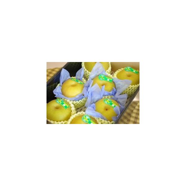 新潟幸水通信販売  しろね地区糖度約13度の和梨を通販で取寄。一糖賞・糖鮮確実 中箱 約7玉〜9玉 新潟産