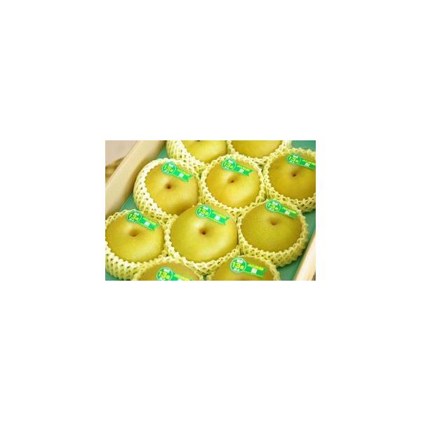 新潟幸水取寄販売  しろね地区糖度約13度の和梨を通販で果物ギフトに。一糖賞・糖鮮確実  約5ｋｇ 10玉〜16玉 新潟産