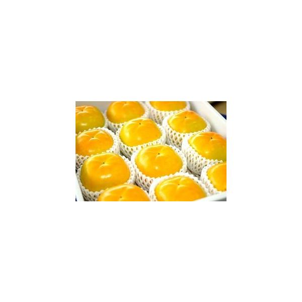 太秋柿（たいしゅうがき）通販 うずまき状の条紋が特徴の甘柿を販売取寄。約3ｋｇ 約9玉〜約12玉 熊本産・他産地