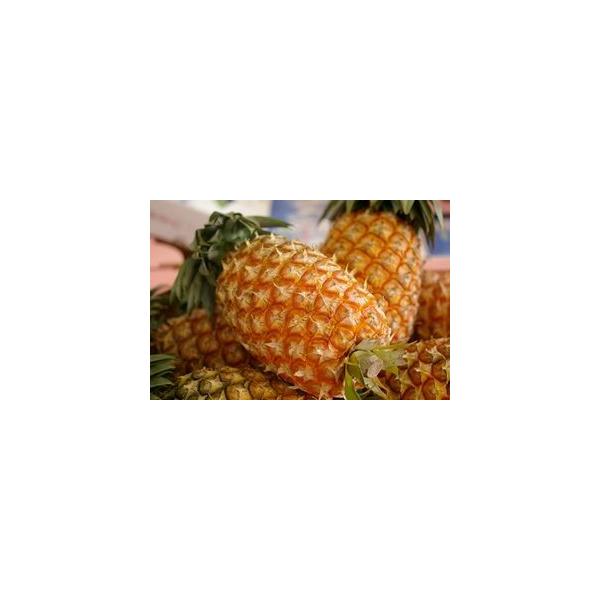 沖縄スナックパイン通販 ボゴール種国産パイナップルを販売取寄。3本 沖縄県産