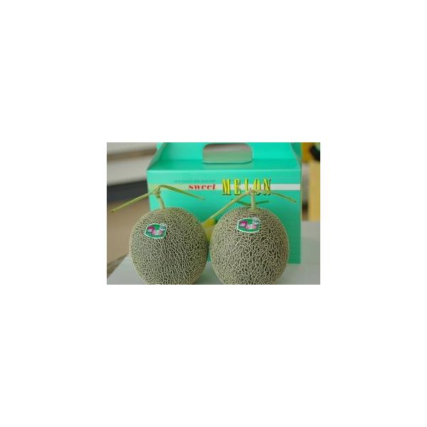 肥後グリーンメロン通信販売 熊本産。販売取寄！果肉は緑色の熊本メロン 2玉