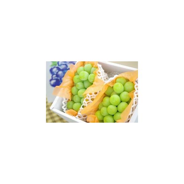 シャインマスカット葡萄通信販売 種なし皮ごと食べられるぶどうを販売取寄。2房 約1100ｇ