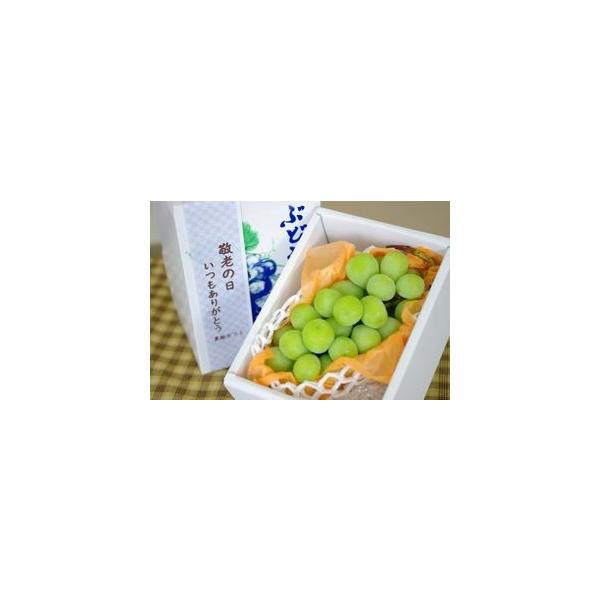 敬老の日シャインマスカット葡萄ギフト通販 おじいちゃん・おばあちゃんに果物プレゼント。1房