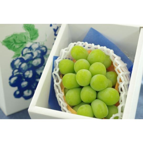 母の日シャインマスカット葡萄通販 お母さんにプレゼント！種なし皮ごと食べられるハウス栽培ぶどうを販売1房入れ約400ｇ