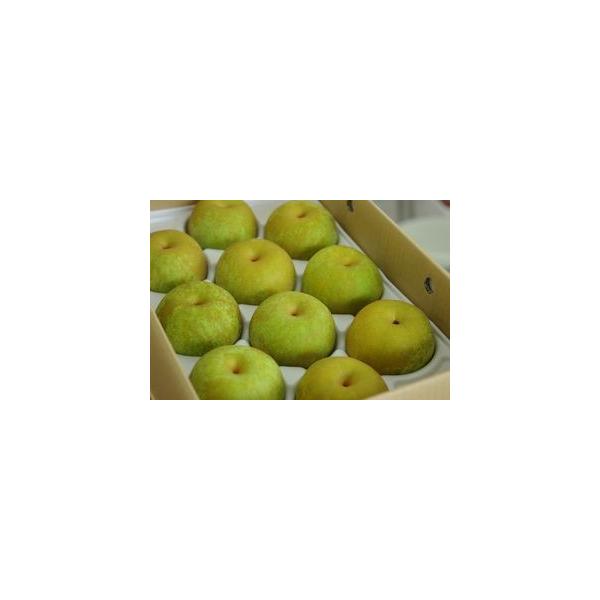 秋麗梨（しゅうれいなし）取寄販売 熊本の糖度約13度の和梨を通販で。約5ｋｇ 約10玉〜約16玉 熊本産