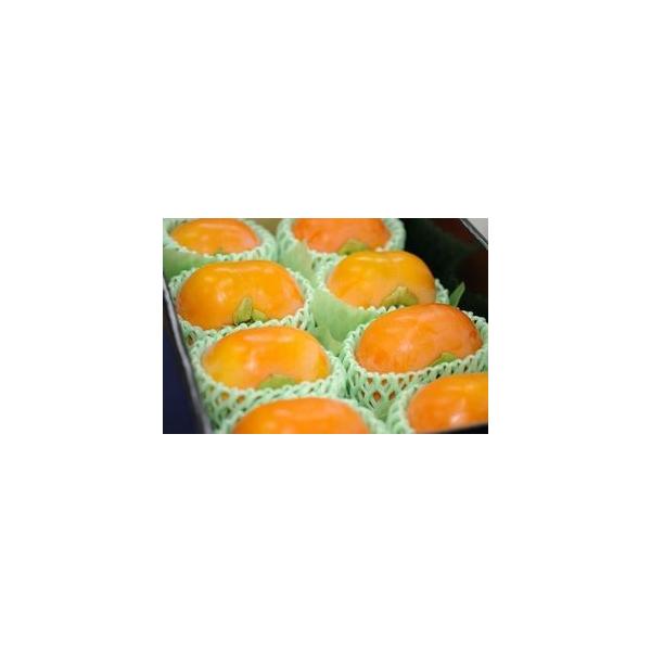 次郎柿（じろうがき）通販 静岡県浜北の甘柿治郎柿を販売取寄。小箱 約10玉