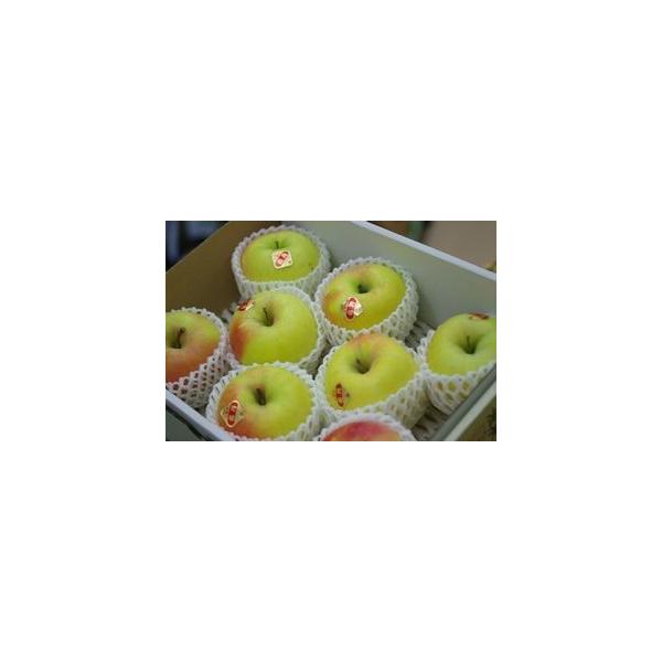 ぐんま名月りんご通信販売 お歳暮林檎に。隠れた銘品種りんごを販売取寄。中箱 約7玉〜約9玉 群馬・長野・他産地