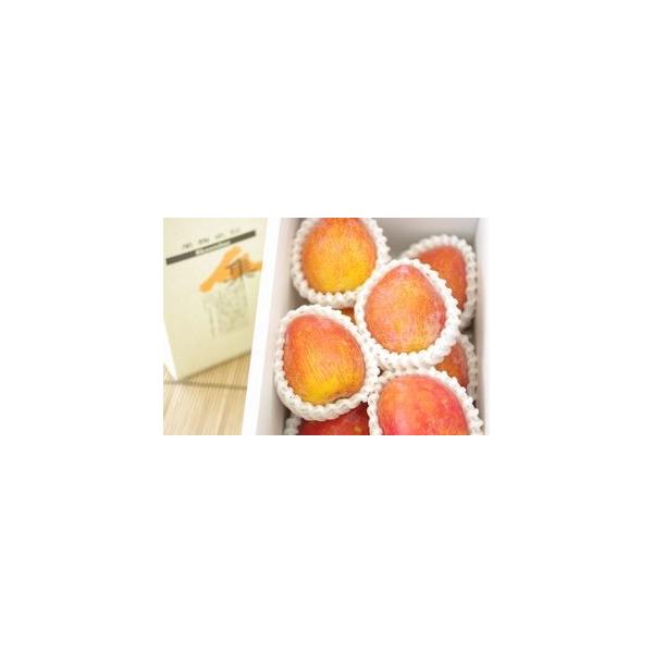 月光（げっこう）プラム通信販売 幻のすもも李を販売取寄。山梨県産・他産地 特撰 糖度約16度 約8玉〜約10玉