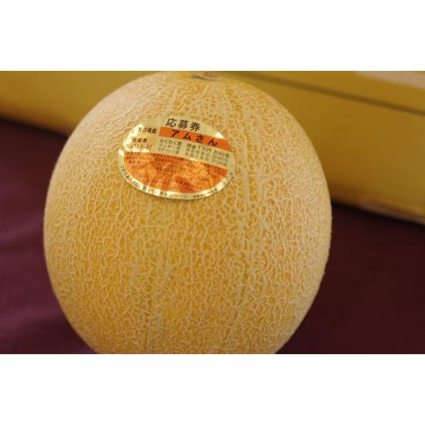 完熟アムさんメロン通販 青森産。つがりあんブランドを販売。お中元果物に 1玉
