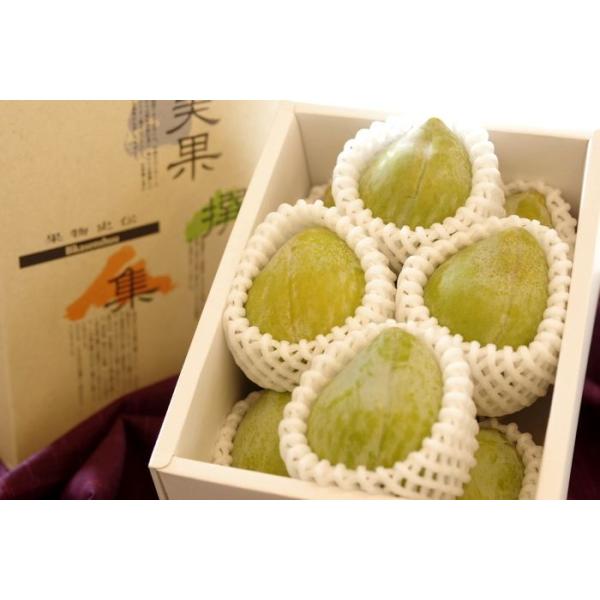 ケルシープラム通販　幻のグリーンすもも李を販売取寄。約10玉前後 山梨・他産地