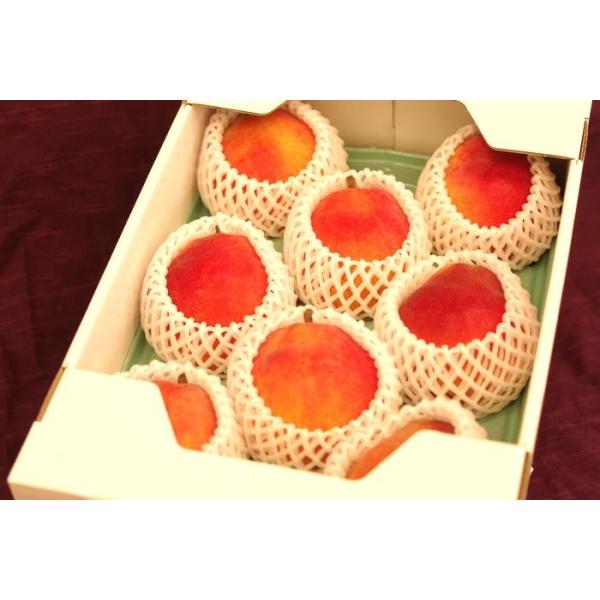 西洋梨カリフォルニア通信販売 赤く色づく珍しい洋梨を取寄。中箱 約7玉〜約9玉