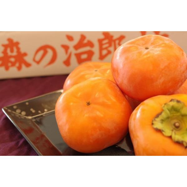 次郎柿 静岡県周智郡森町産通販 治郎柿販売 献上柿の里 約10玉〜約12玉