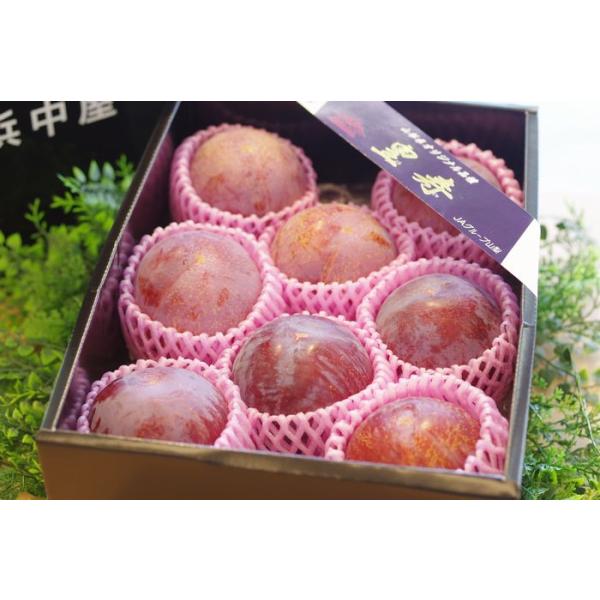 皇寿こうじゅ　すもも李　山梨県　約8玉〜約10玉