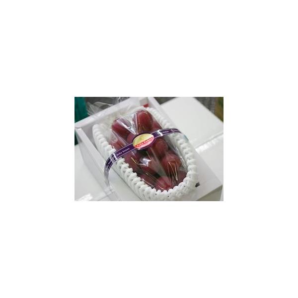 ルビーロマン葡萄通販 石川県産糖度18度以上の高級赤ぶどうを販売取寄。1房 約500ｇ 石川産