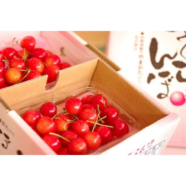 お中元紅秀峰さくらんぼ販売　500gバラ詰め 2Ｌ 山形さくらんぼ通販ギフトは7月上旬
