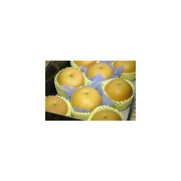 秋月梨（あきづき梨）通信販売　糖度約13度の和梨を販売取寄。中箱 約7玉〜約9玉 千葉・他産地