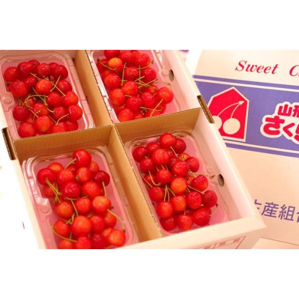 お中元紅秀峰さくらんぼ販売　500gバラ詰め 2Ｌ 山形さくらんぼ通販ギフトは7月上旬