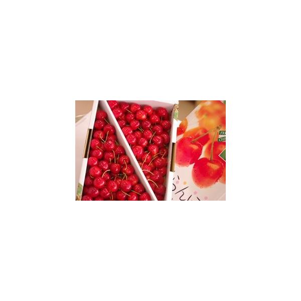 お中元紅秀峰さくらんぼ販売 1kgバラ詰め 2Ｌ 山形さくらんぼ通販ギフトは7月上旬