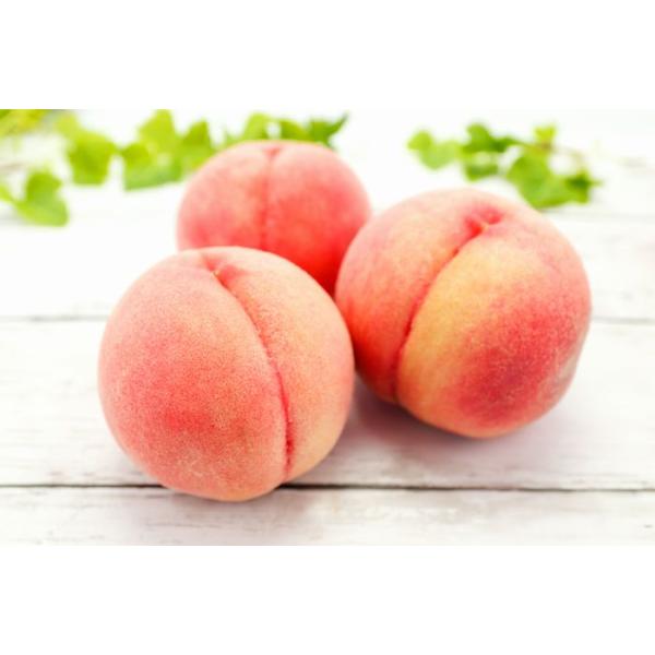 春日居桃通販 山梨県春日居統一共選場。糖度13.5度以上の桃販売取寄。お中元 特秀 小箱 6玉