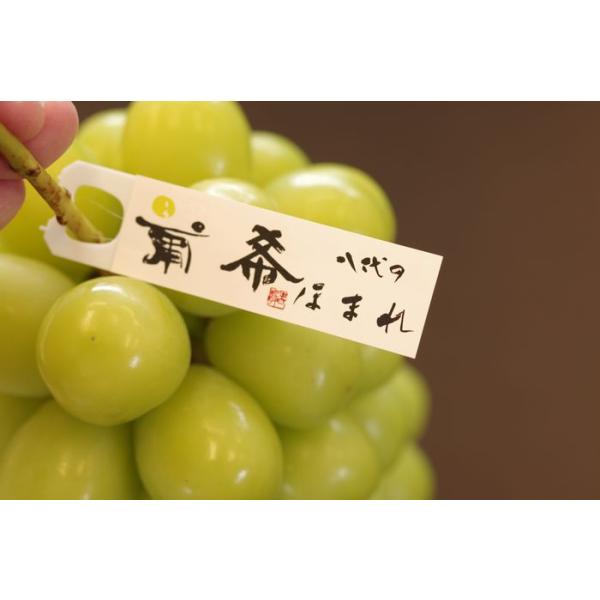 八代の葡希ほまれ　最上級 シャインマスカットぶどう通販 ＪＡふえふき八代支所　2房 約1100ｇ