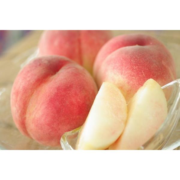 一宮の桃プレミアム特秀品！山梨県JAふえふき一宮西支所 小箱6玉