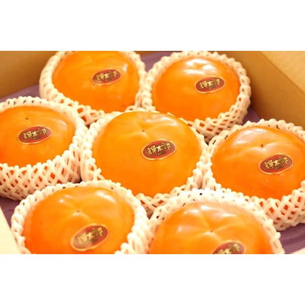 輝太郎柿(きたろう柿)通販 鳥取県の早生甘柿で大玉品種を販売 約4玉〜約5玉