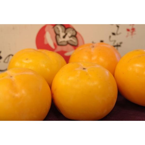 篤農家みしらず柿販売 会津身不知柿を通販お取り寄せ 福島県産皇室献上柿の里 Ｌ〜2Ｌ　約2.5ｋｇ 約9玉〜約11玉