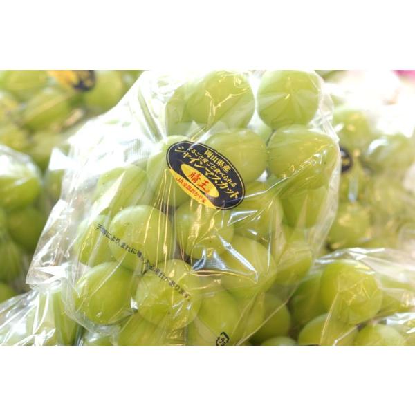 岡山県シャインマスカットぶどう　晴王 1房 約700ｇ