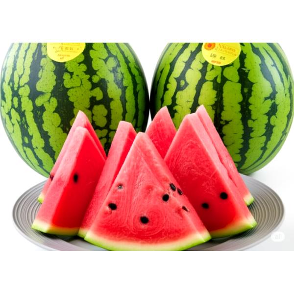 新潟県産ルビームーンすいかは、鮮やかな赤い果肉と濃厚な甘さが特徴の希少品種です。一般的なスイカとは異なるインパクトのある見た目で、贈答用やお中元としても大変人気があります。サイズは約〇kg前後、収穫時期は7月上旬〜8月中旬。保存は冷暗所で、...