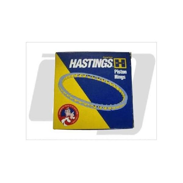 パン、ショベル1200ccピストンリング 48-80年1200cc .030（オーバーサイズ）キャスト、1台分のセットです。HASTINGS製です。【品名】ピストンリング48-80年1200cc030　【商品番号】G11-DS-750623...