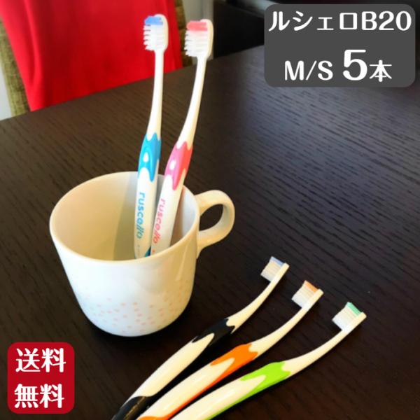 【ルシェロ B-20の特徴】混合歯列期で萌出途中の永久歯が磨きにくい10代の方、成人男性に比べて顎や手が小さい成人女性の方のカリエス予防に最適なベーシックタイプ。4列植毛による安定感と、コンパクトなヘッド＆ハンドルによる磨きやすさ、持ちやす...