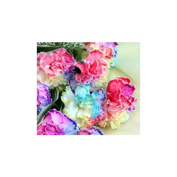 ◆ラッピング＆ボックス入◆ボックス　サイズ／L75・W20・D13◆レインボーカーネーションの花束をボックスに入れて、当店より直送にてお届け◆誕生日・お祝い・お見舞・送別・母の日・バレンタイン・ホワイトデー・クリスマスetc※お届け日は３日...