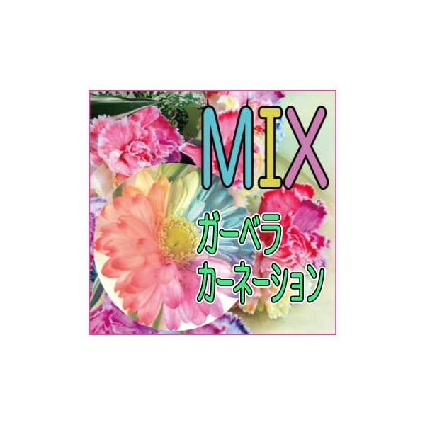 ◆ラッピング＆ボックス入◆ボックス　サイズ／L75・W20・D13◆レインボーガーベラ・カーネーション、各３本ミックスの花束をボックスに入れて、当店より直送にてお届け◆誕生日・お祝い・お見舞・送別・母の日・バレンタイン・ホワイトデー・クリス...
