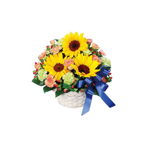 ◆夏期限定◆花キューピット　アレンジメント　ワンサイド◆サイズ／H23・W28・D22◆お誕生日・お祝い・記念日・お見舞い・父の日・開店祝・新社屋祝 etc
