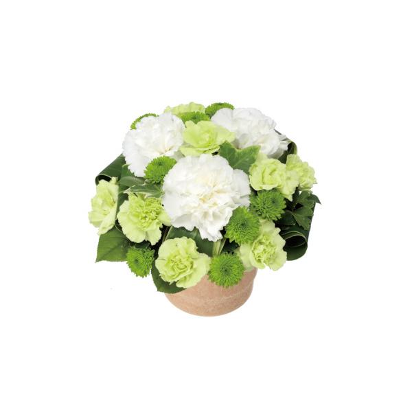 ◆通年商品◆花キューピット　アレンジメント　オールラウンド◆サイズ／H20・W20・D20◆お供え・お悔やみ・ご葬儀・法要・供花・枕花・お盆・お彼岸・その他