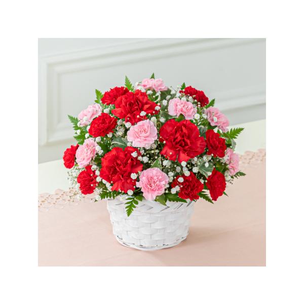 ◆母の日　花キューピット　母の日のフラワーギフト◆母の日お届けについて…５月8日(金)〜10日(日)のいずれかの日にちでのお届けとなります。・お届け日をご指定頂いた場合も、ご希望に添う事が出来ない場合がございます事を、ご理解ご寛容下さいます...