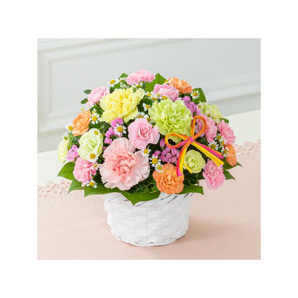 ◆母の日　花キューピット　母の日のフラワーギフト◆母の日お届けについて…５月8日(金)〜10日(日)のいずれかの日にちでのお届けとなります。・お届け日をご指定頂いた場合も、ご希望に添う事が出来ない場合がございます事を、ご理解ご寛容下さいます...