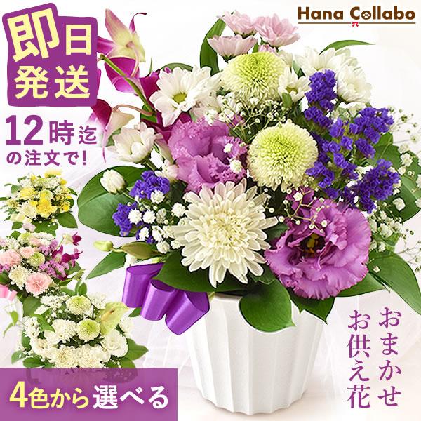 商品情報 お供え アレンジメント お悔やみ 【おすすめ用途】 お供え物 飾り 初盆 法事 お盆 お彼岸 仏花 法要 命日 四十九日 【関連ワード】 花 フラワーアレンジメント 花とスイーツ スイーツ 送料無料 洋菓子 和菓子 生花 花束 切...