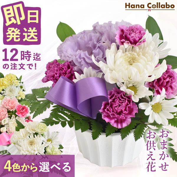 商品情報 お供え アレンジメント お悔やみ 【おすすめ用途】 お供え物 飾り 初盆 法事 お盆 お彼岸 仏花 法要 命日 四十九日 【関連ワード】 花 フラワーアレンジメント 花とスイーツ スイーツ 送料無料 洋菓子 和菓子 生花 花束 切...