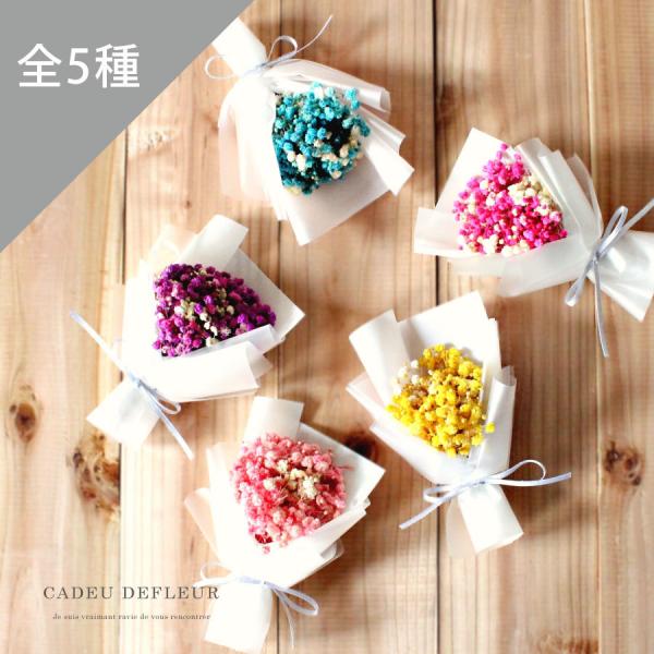 生花でも人気のお花「カスミ草」をドライフラワーにして小さなミニドライブーケにしました。手のひらサイズでもお花は普通のサイズと変わらない品質です。また、クリアボックス入りなのも嬉しいポイント。ご用途に合ったリボンラッピングをしてお届けいたしま...