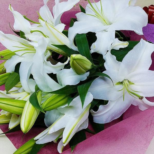 サイズ　高さ：60cm前後　　　　幅　：30cm前後注意点　●品種はおまかせとなります。指定はできません。　　　　●入荷状況によって品種が変わるため、　　　　　サンプル写真とお届け商品は同一ではありません。　　　　●当店ではご請求がない限り...