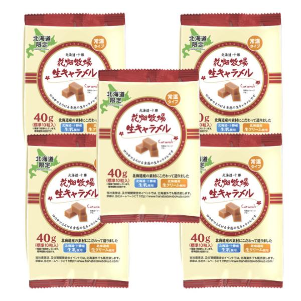 【ジュアルに渡しやすい！生キャラメル小袋タイププレーン×5個セット