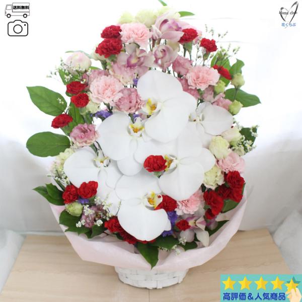 Todays'アレンジＬ デラックスサイズ コチョウラン1本入り確約タイプ<BR>コチョウラン1本と<BR>季節のお花＆本日のお得なおすすめ花材を<BR>使用してお花の種類をおまかせいただき <BR...