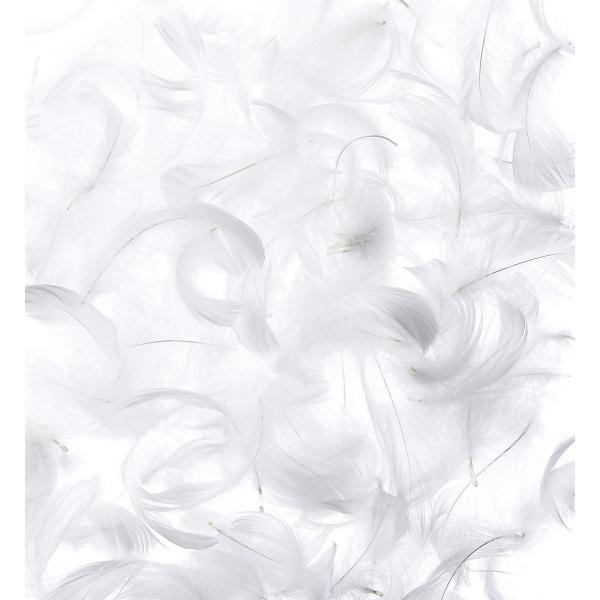 【商品番号：001-06317】/【VAR：】/63-3080-0/4958556300371/mothersday_material/20250408MTデコレーションパーツ・素材 羽(フェザー)、コキール【松村工芸】