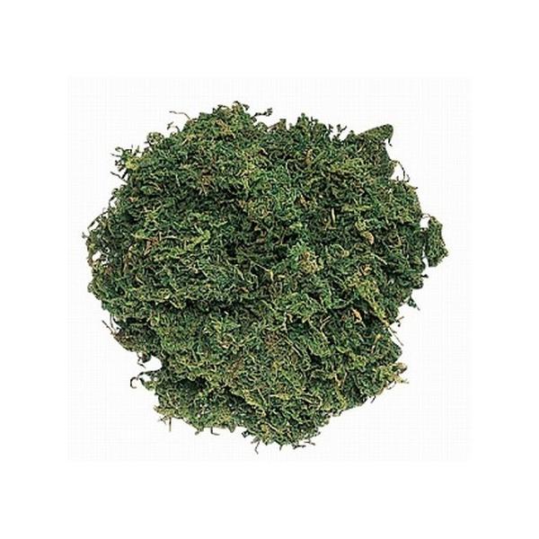 【商品番号：001-06560】/【VAR：2405】TOKA/71039/4940095710391/2019newyear//bk-3017ドライ葉物 モス・苔【東花】