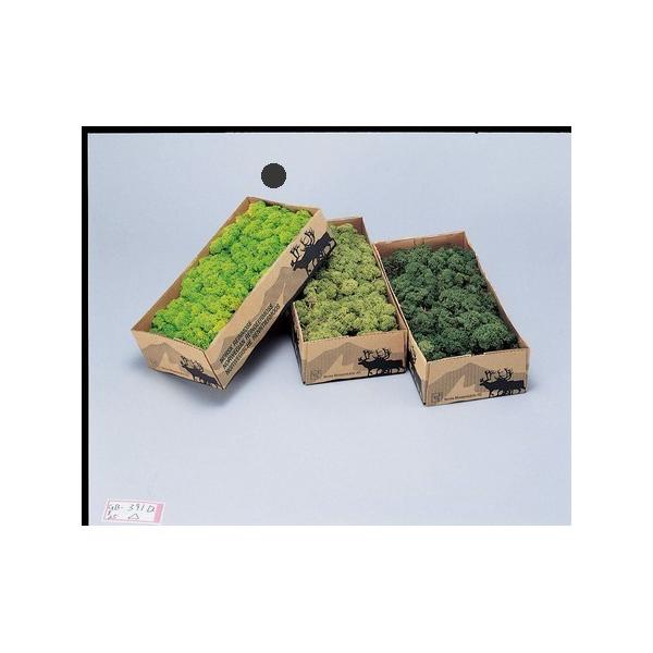 【商品番号：001-06889】/【VAR：163】165-11-7/4958556222154/bk-0026/bk-3017/20250408MTプリザーブドグリーン モス・苔【松村工芸】