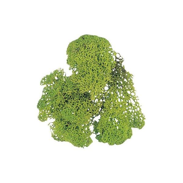 【商品番号：001-13902】/【VAR：23032】4958556329891/20150714new/bk-3017/20250408MTプリザーブドグリーン モス・苔